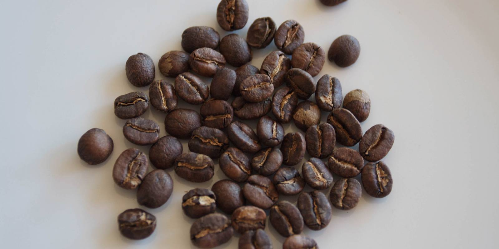 OSC Home • Oil Slick Coffee